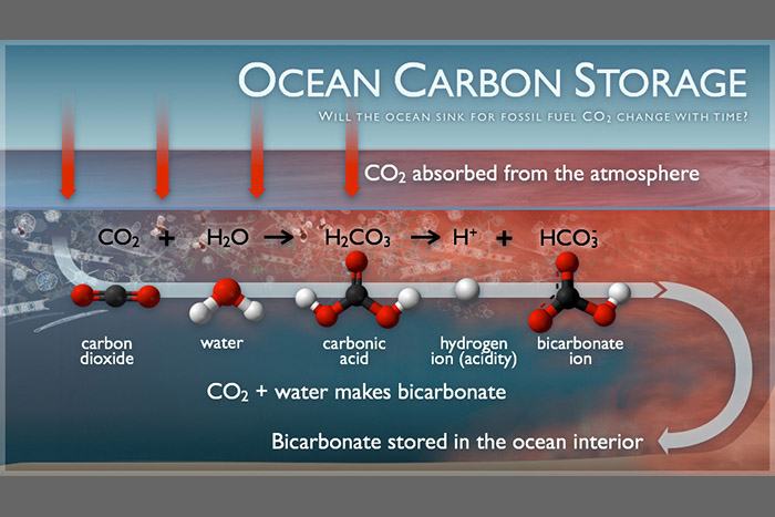 Landmark study indicates weakening of ocean carbon sink | NOAA Climate.gov